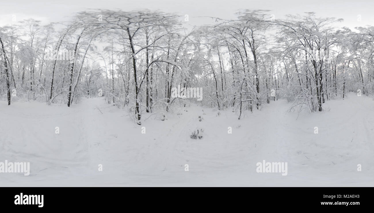 360 VR panorama of forest in the snow in winter Stock Photo - Alamy