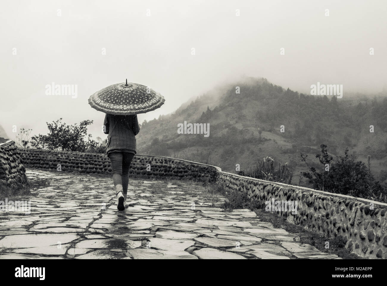 A woman walking up a stone path in the rain holding an umbrella Stock ...