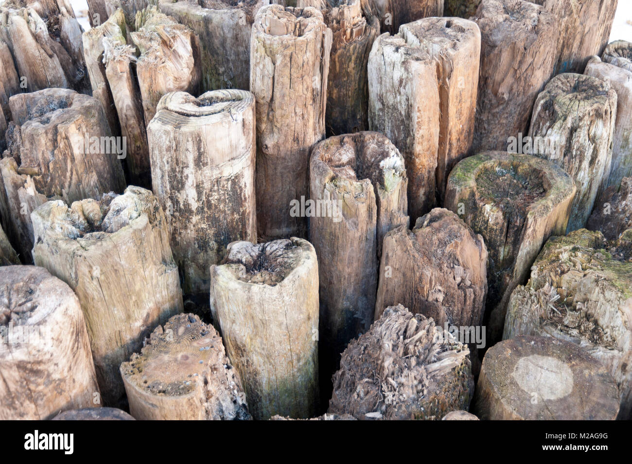 Weathering posts hi-res stock photography and images - Alamy
