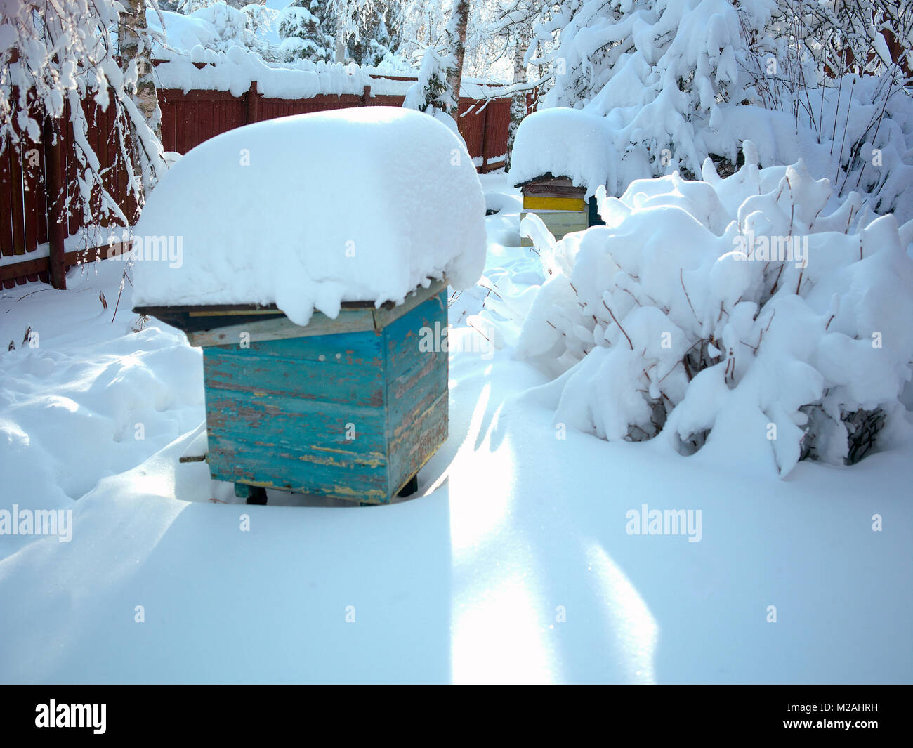 Trees, beehives and shrubs in a garden covered with massive snow, focus ...