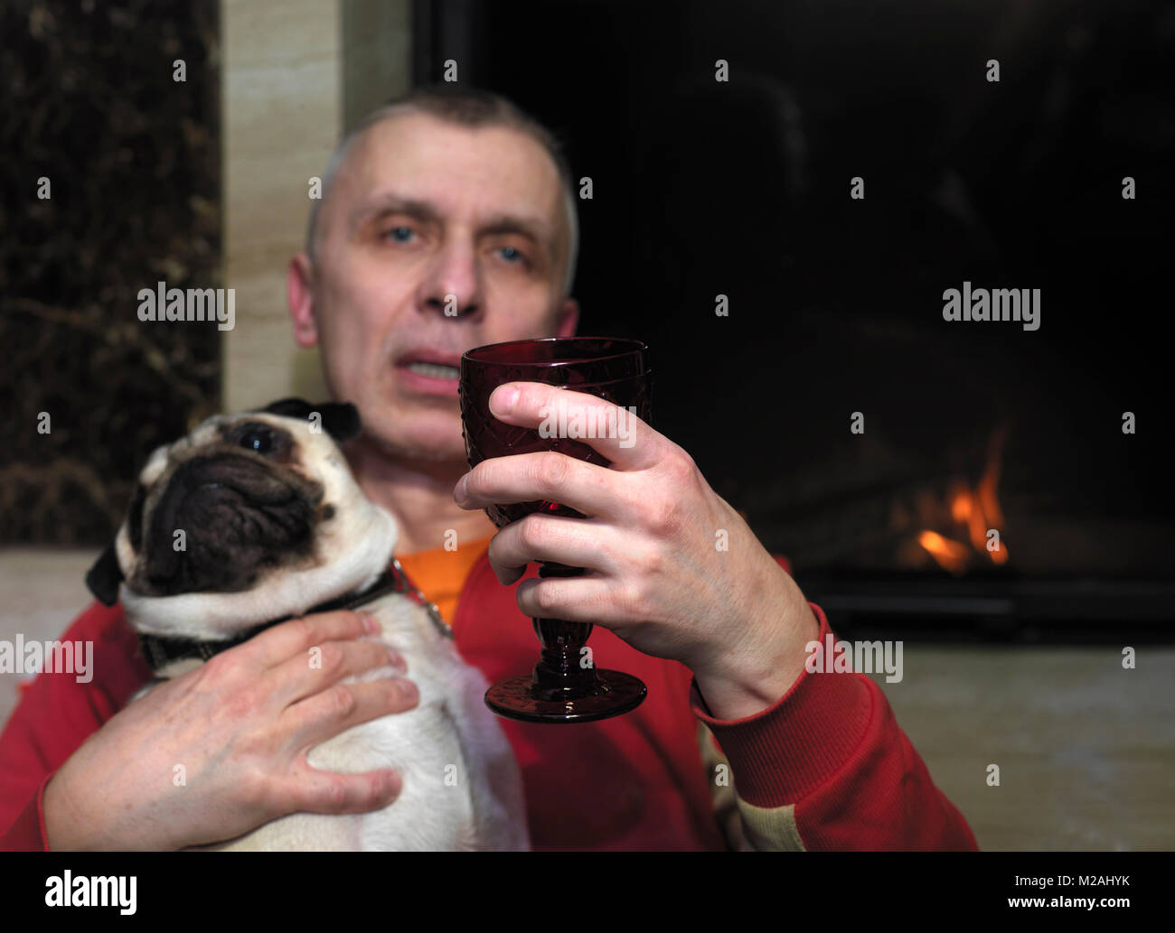 A man proposing a toast with a little dog on his knees, indoor shot ...