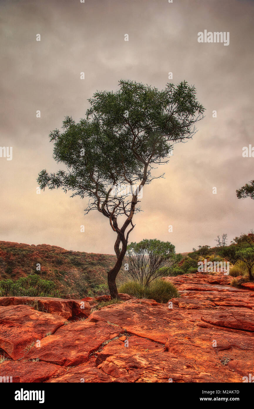 Australian outback night hi-res stock photography and images - Alamy