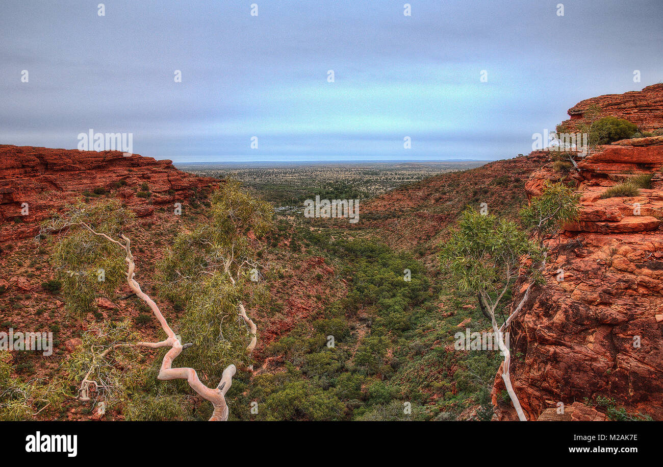 Australian aboriginal art background in hi-res stock photography and ...
