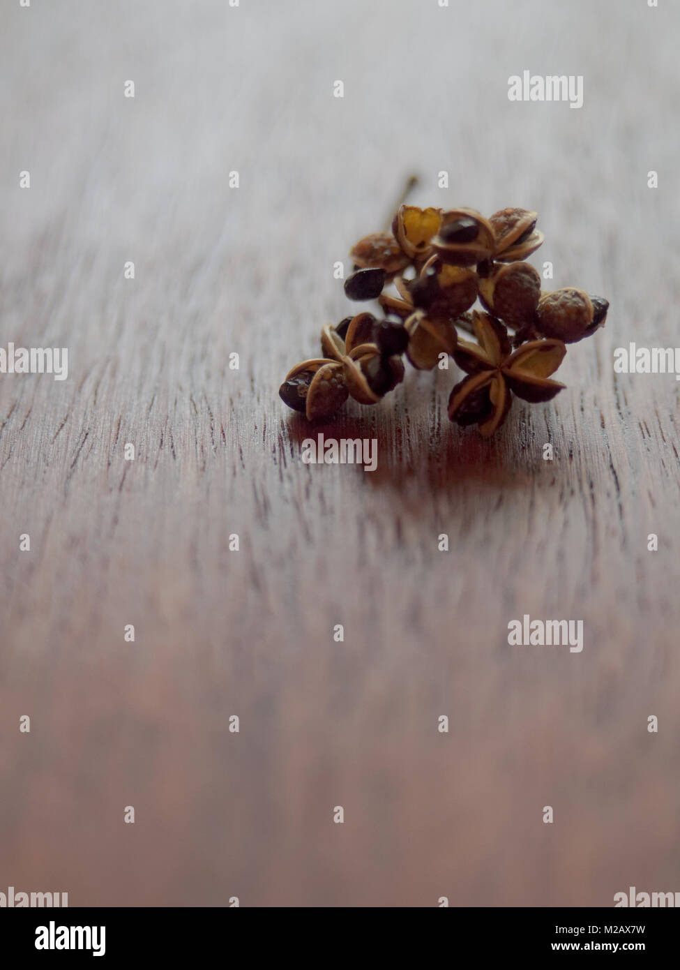 Anise star seeds with branches on the wooden background Stock Photo - Alamy