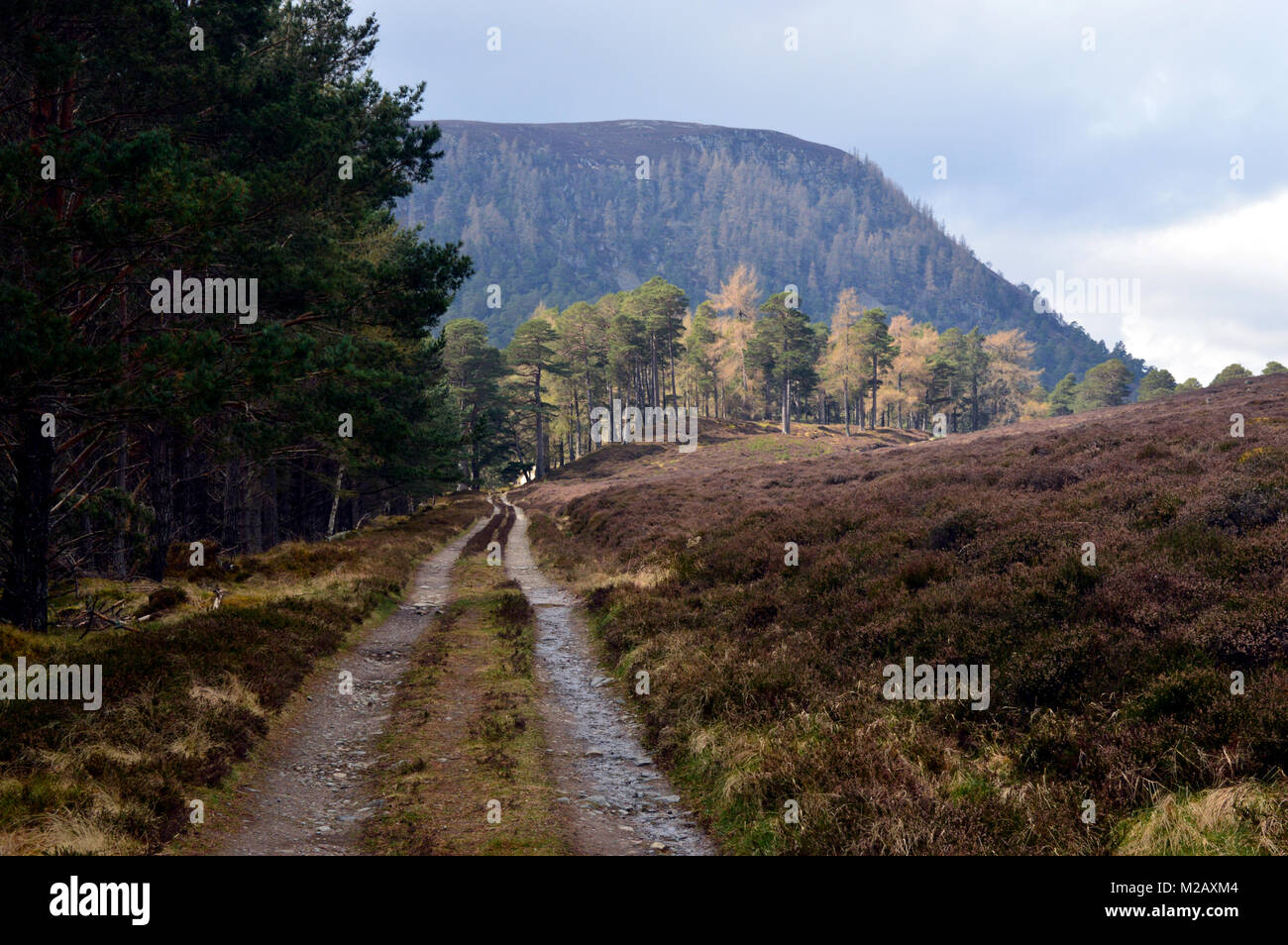 The Track West from Allanaquoich with the Scottish Mountain Creag Bhalg ...