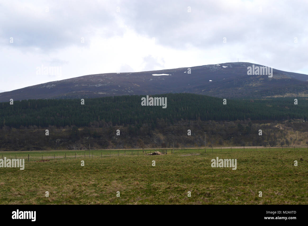 Looking Towards the Scottish Mountain Corbett Morrone/ Morven from Linn ...