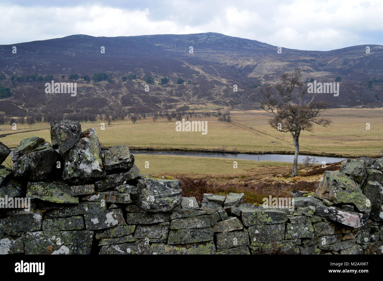 The Scottish Mountain Corbett Carn na Drochaide from the Linn of Dee ...