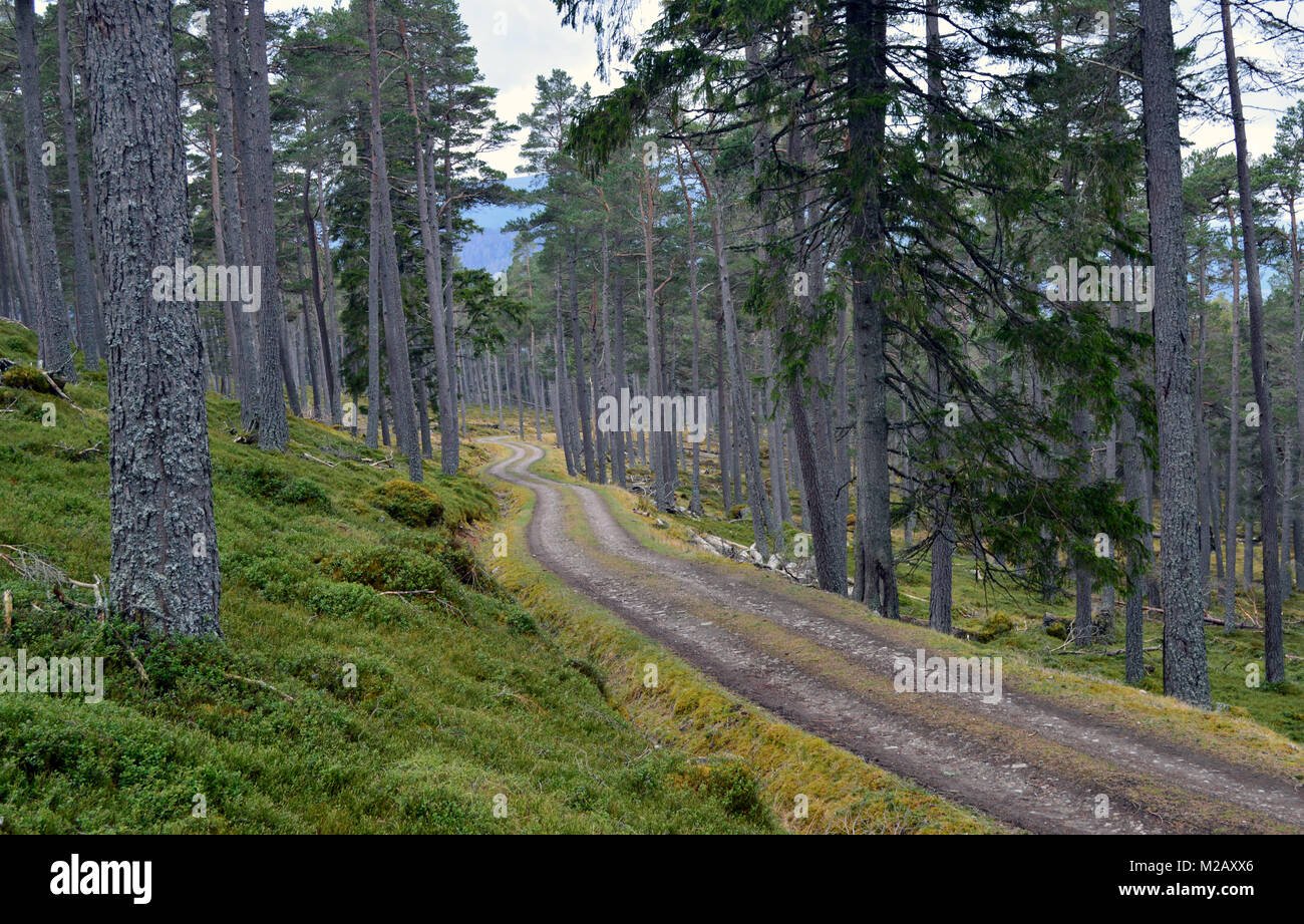 Invercauld house hi-res stock photography and images - Alamy