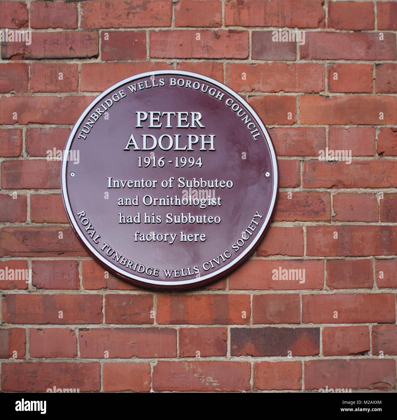 Peter adolph subbuteo hi-res stock photography and images - Alamy