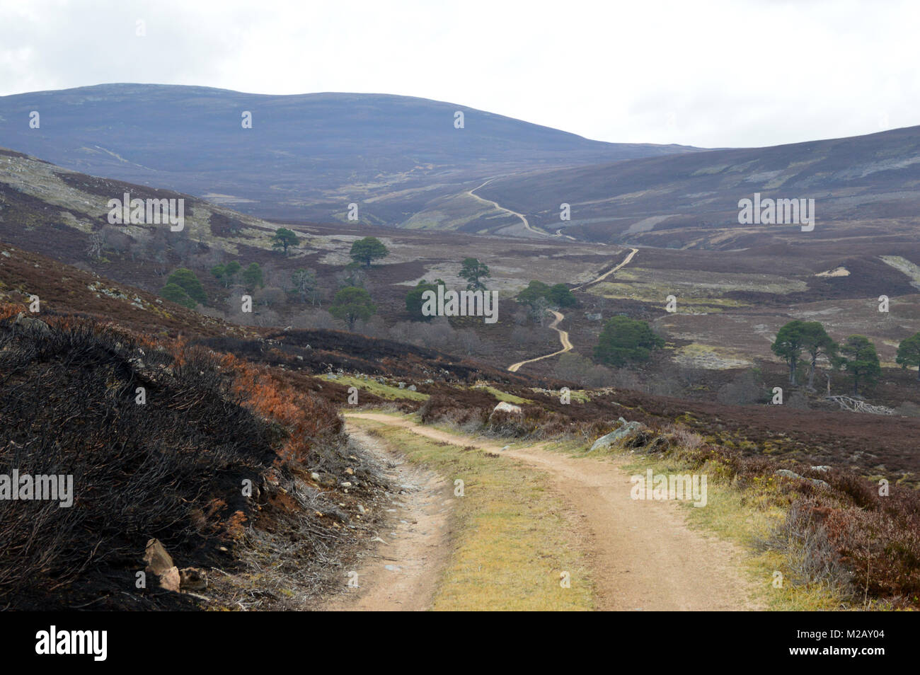 Track Leading to the Scottish Mountain Corbett Carn Liath from Keiloch ...