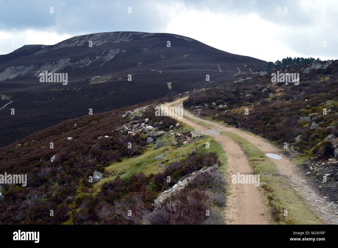 Meall Gorm and the Track to Invercauld Bridge from the Scottish ...
