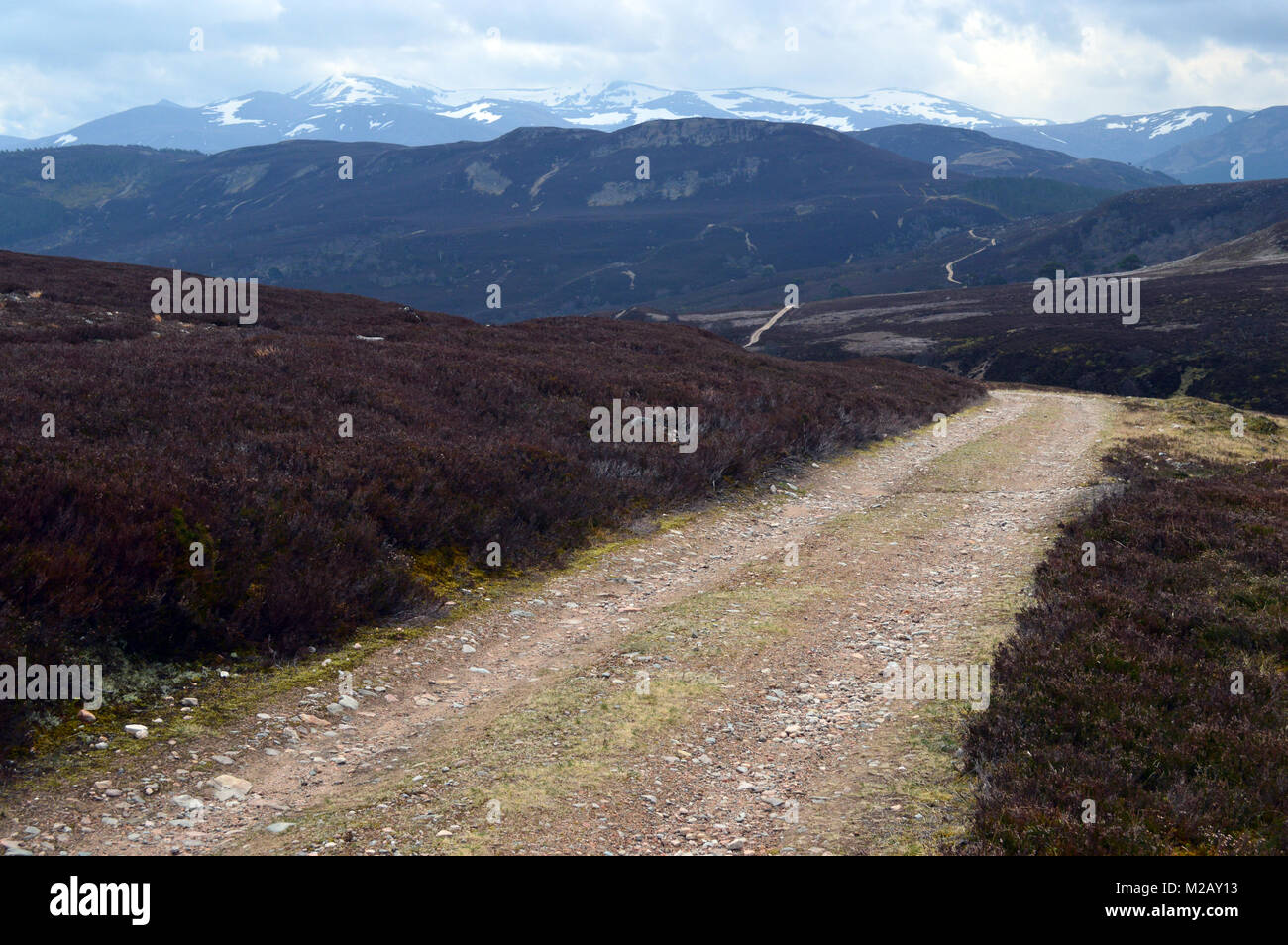 Meall Gorm & Craig Leek and the Track to Invercauld Bridge from the ...