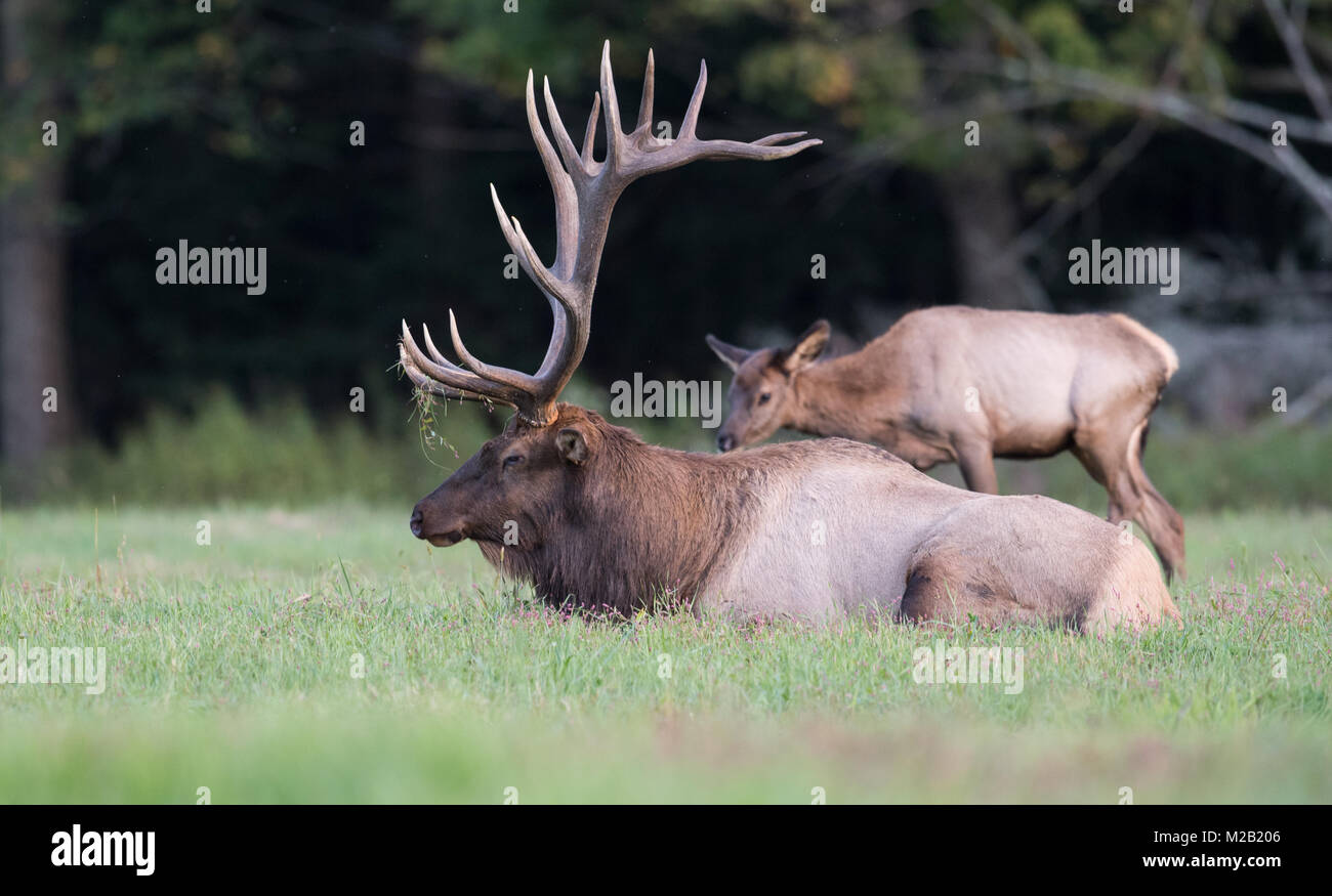 Massive rack hi-res stock photography and images - Alamy