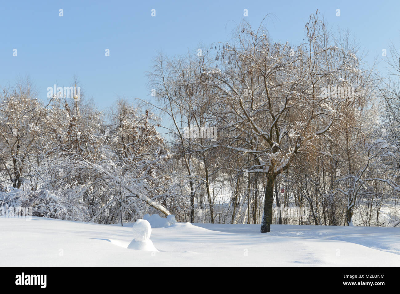 Snow-covered Moscow. Landscaped park after heavy snowfall. Beautiful ...
