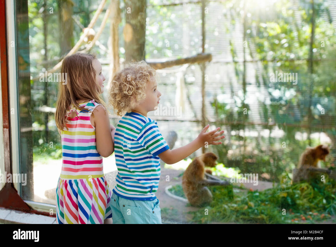 Monkey baby dress hi-res stock photography and images - Alamy