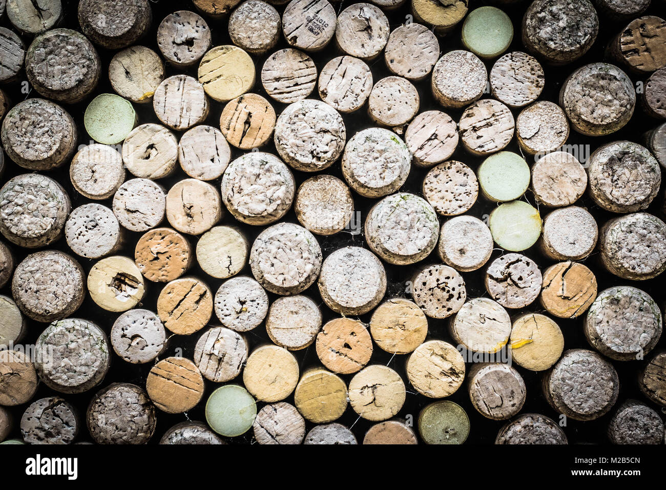 A circle of corks, that make a great insect hideout Stock Photo - Alamy