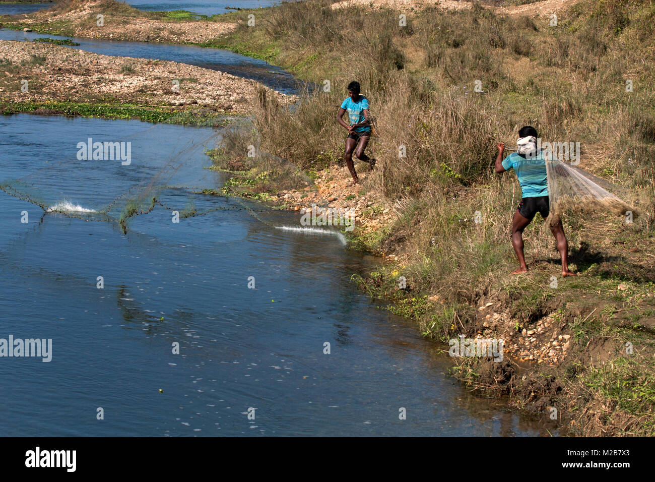 Men belonging to Tharu community fish in the Rapti river in Sauraha ...