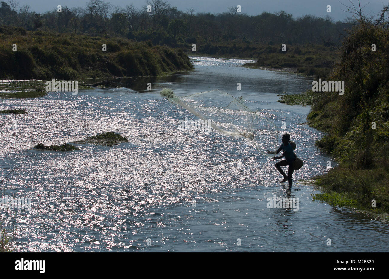 Men belonging to Tharu community fish in the Rapti river in Sauraha ...