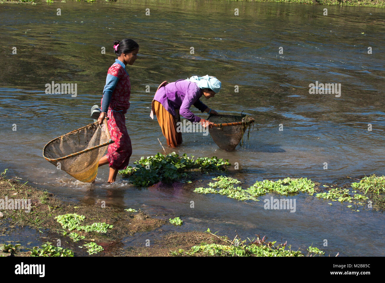 Women belonging to Tharu community fishing in the Rapti river in ...