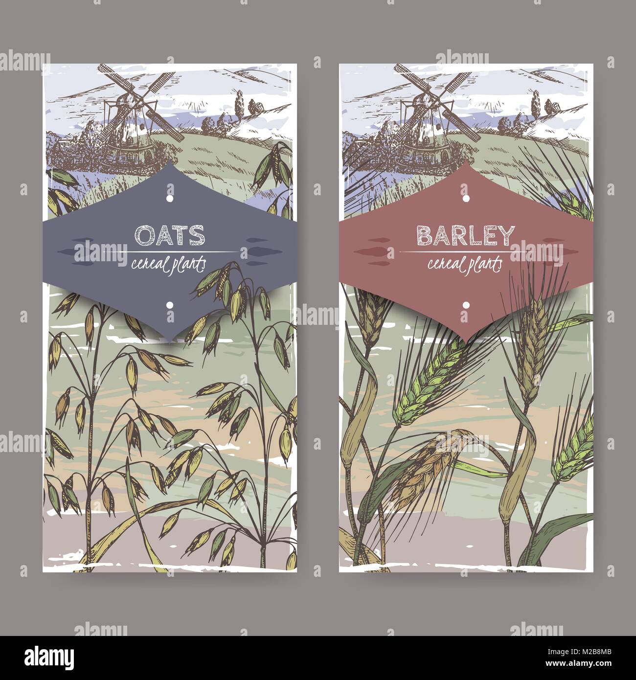 Set of two color labels with Barley aka Hordeum vulgare and oats aka ...