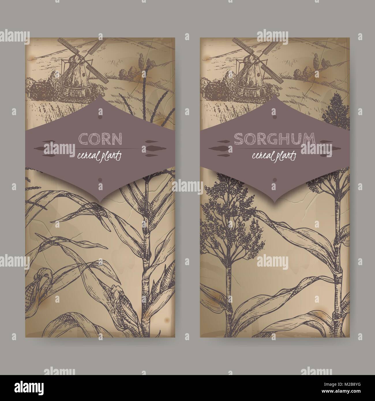 Ste of two vintage labels with Sorghum bicolor and Corn aka Maize or ...