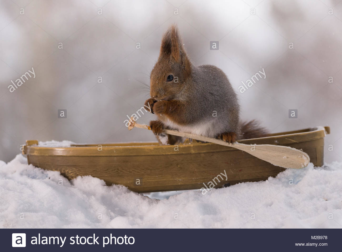 Teepee Winter Stock Photos & Teepee Winter Stock Images - Alamy
