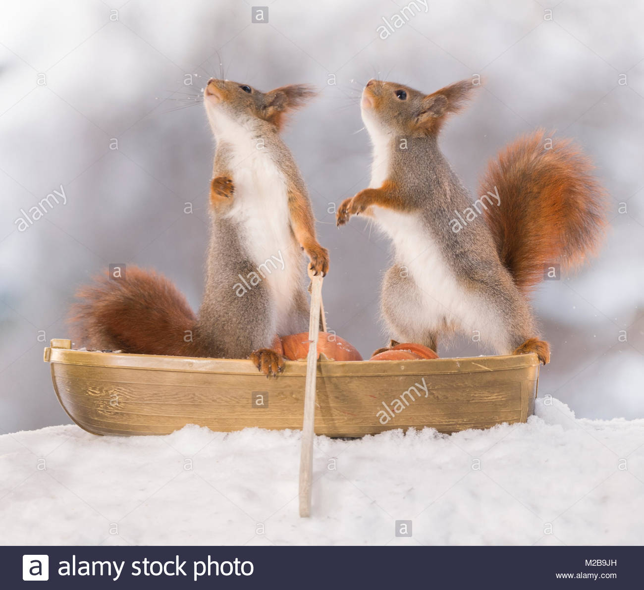 Teepee Winter Stock Photos & Teepee Winter Stock Images - Alamy