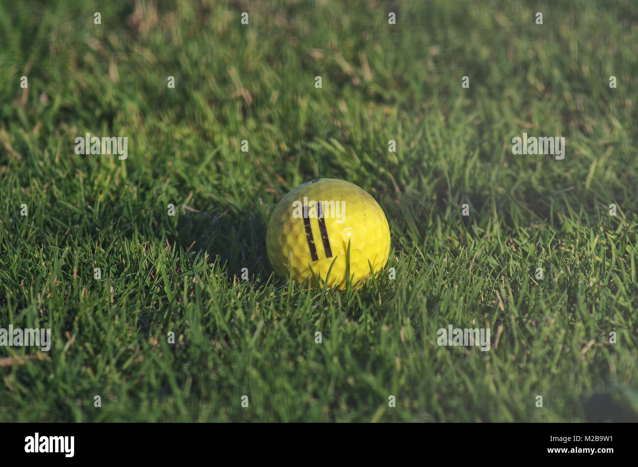 Yellow golf ball hi-res stock photography and images - Alamy