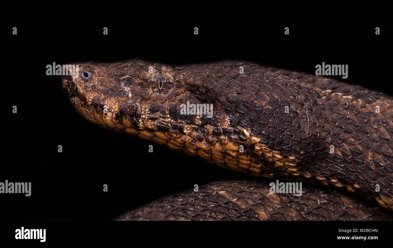 Manus Island High Resolution Stock Photography and Images - Alamy