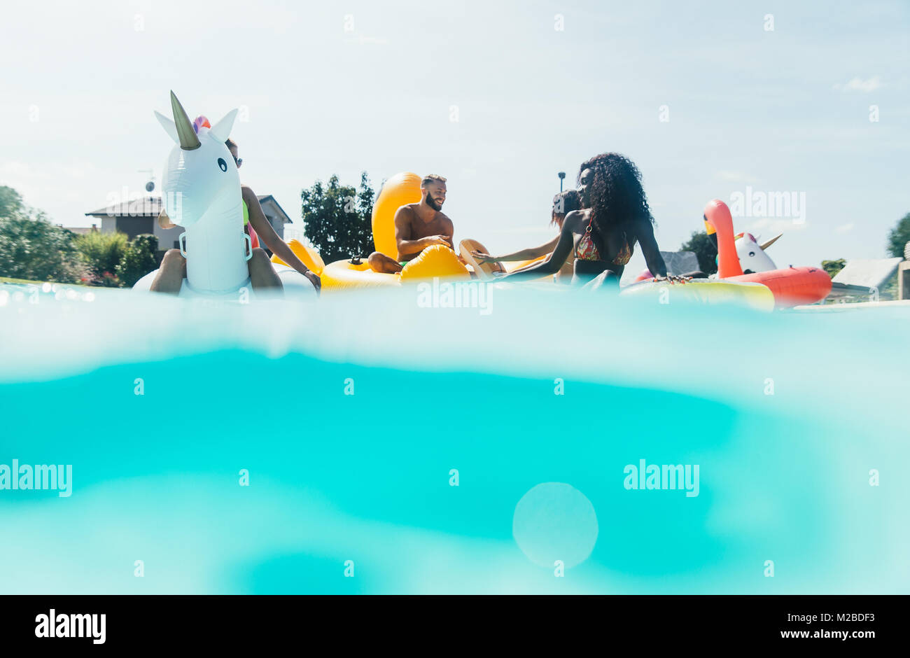 group of friends having fun in the swimming pool Stock Photo - Alamy