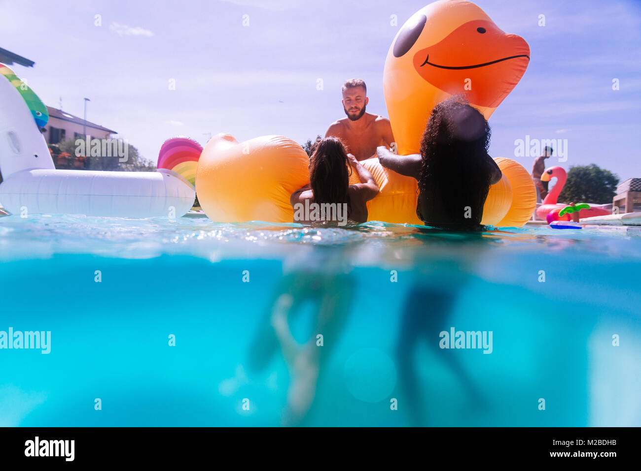 group of friends having fun in the swimming pool Stock Photo - Alamy