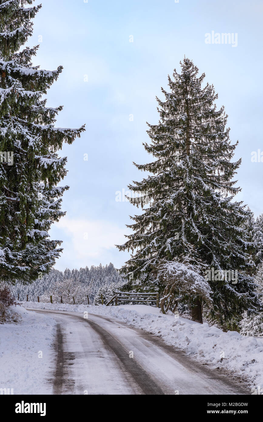 Snowy tranquility hi-res stock photography and images - Alamy