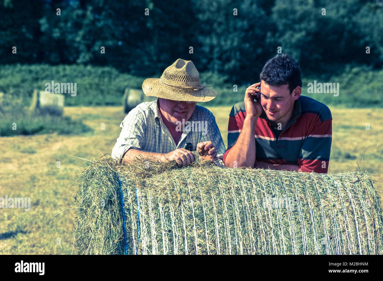 Farmers on hale bale with mobile phone. Ireland Stock Photo - Alamy