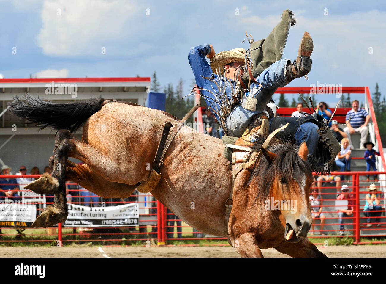 Cowboy on bucking horse hi-res stock photography and images - Alamy