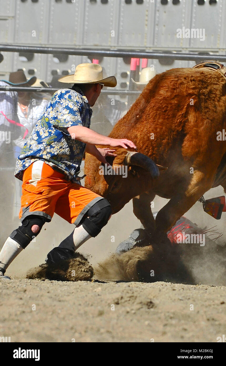 Bull fighter working hi-res stock photography and images - Alamy