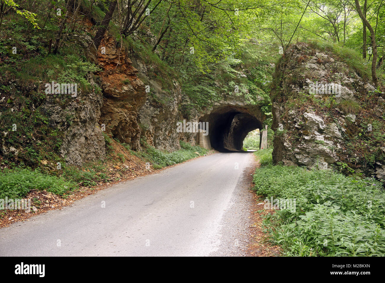Mountain tunnel road travel hi-res stock photography and images - Alamy