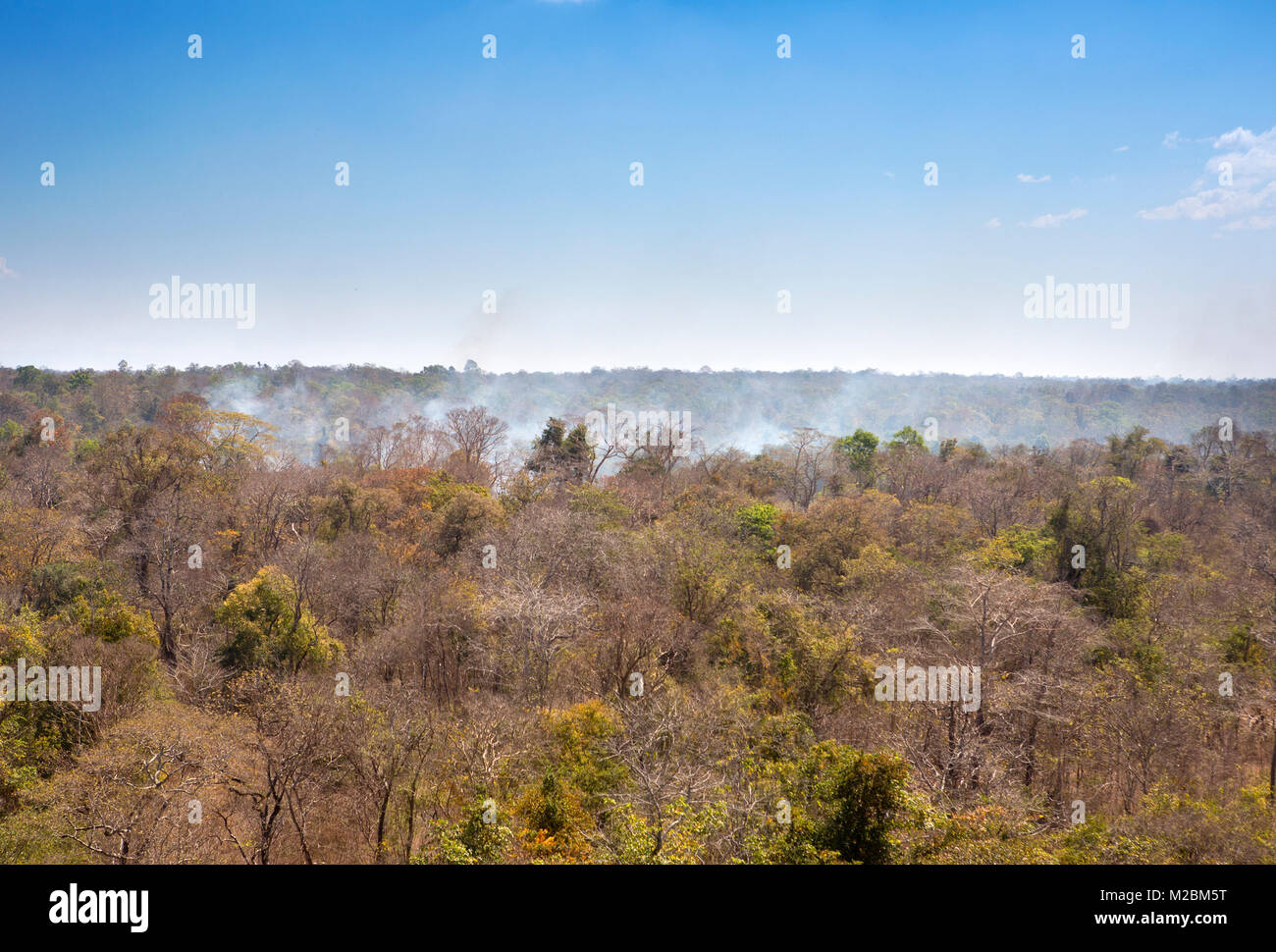 Aerial view of the jungle hi-res stock photography and images - Alamy