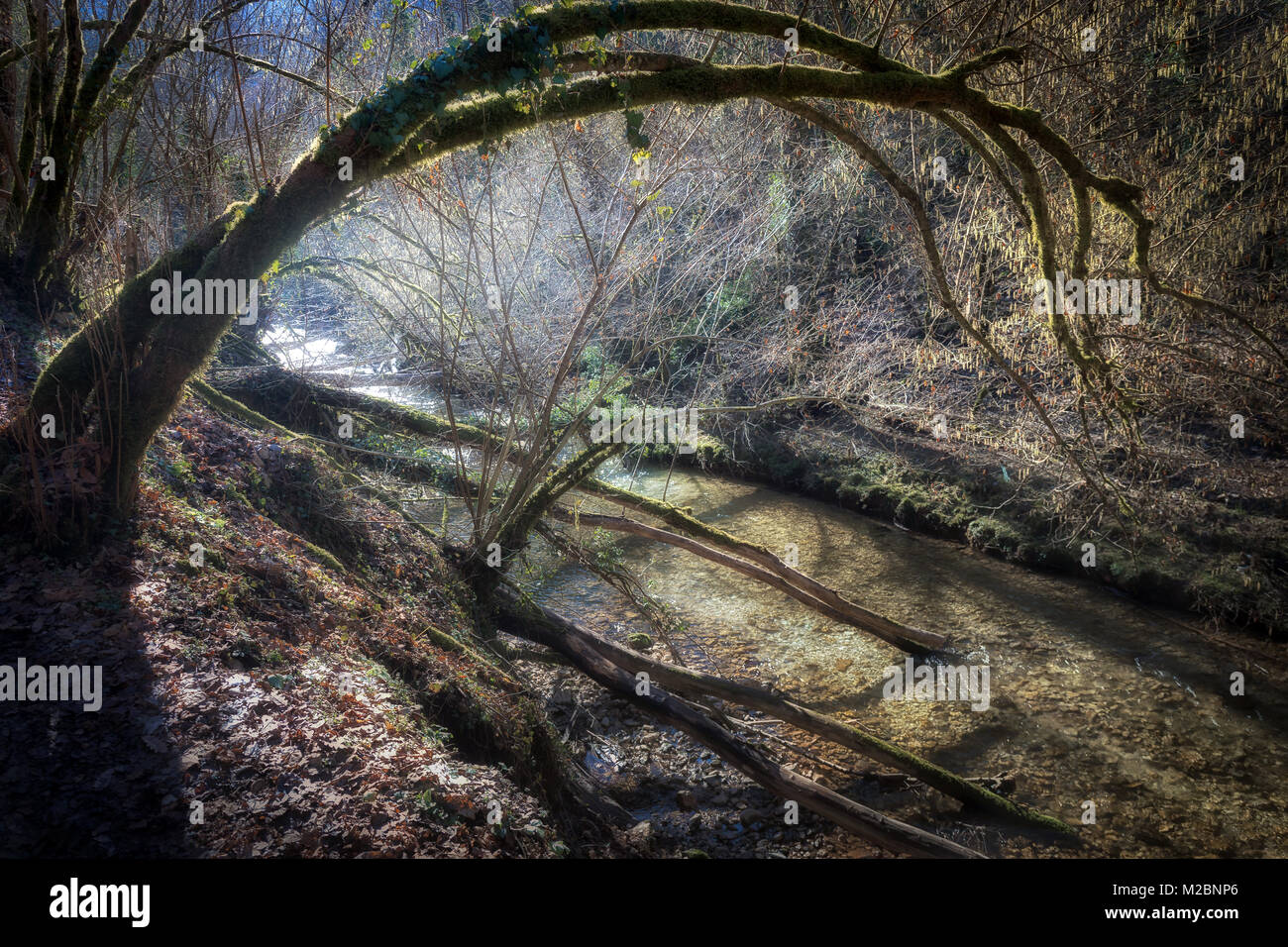 The river Aniene, in the municipality of Trevi nel Lazio, Italy. The ...