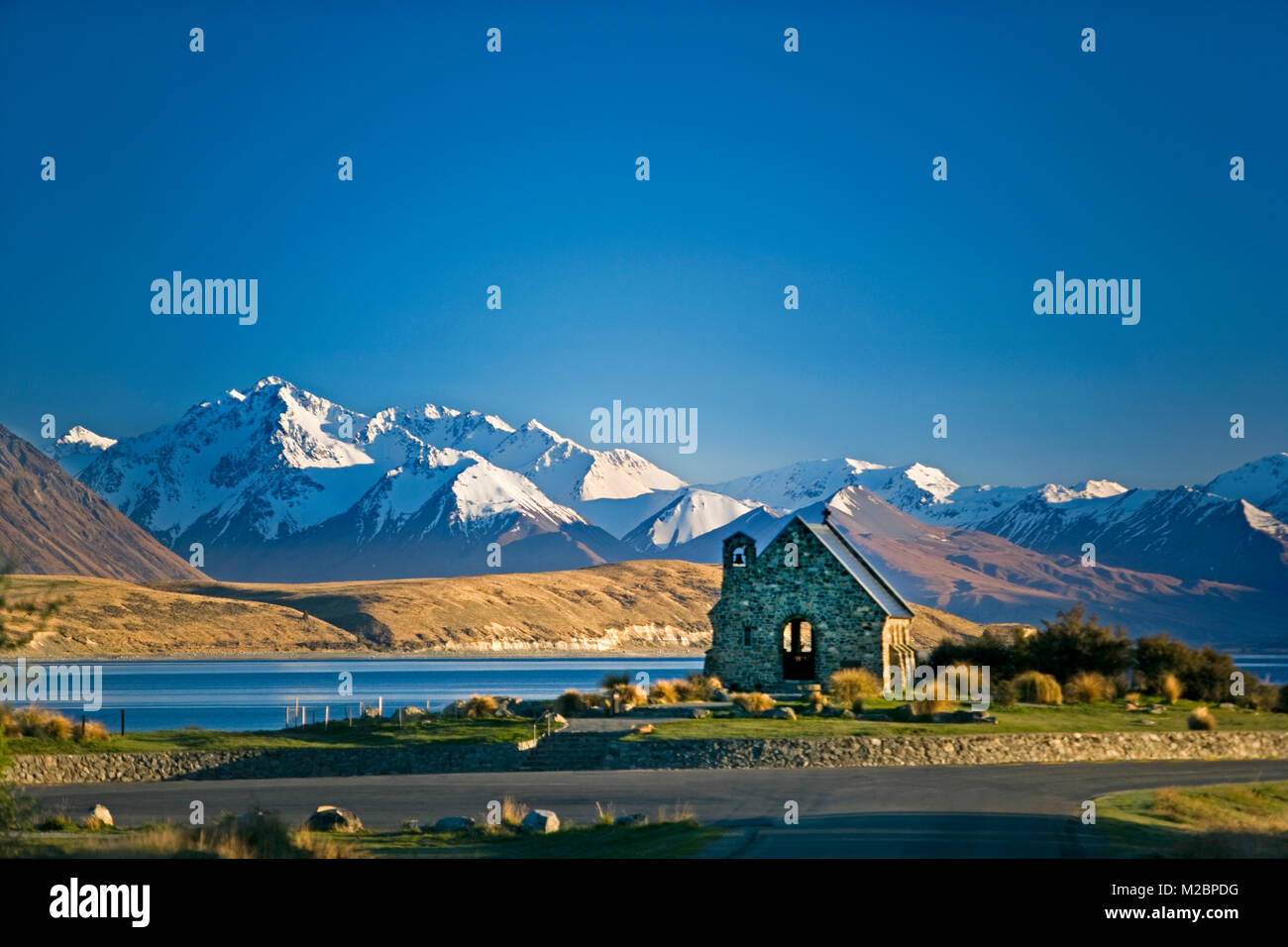 New Zealand, South island, Lake Tekapo, background: Mount Cook National ...