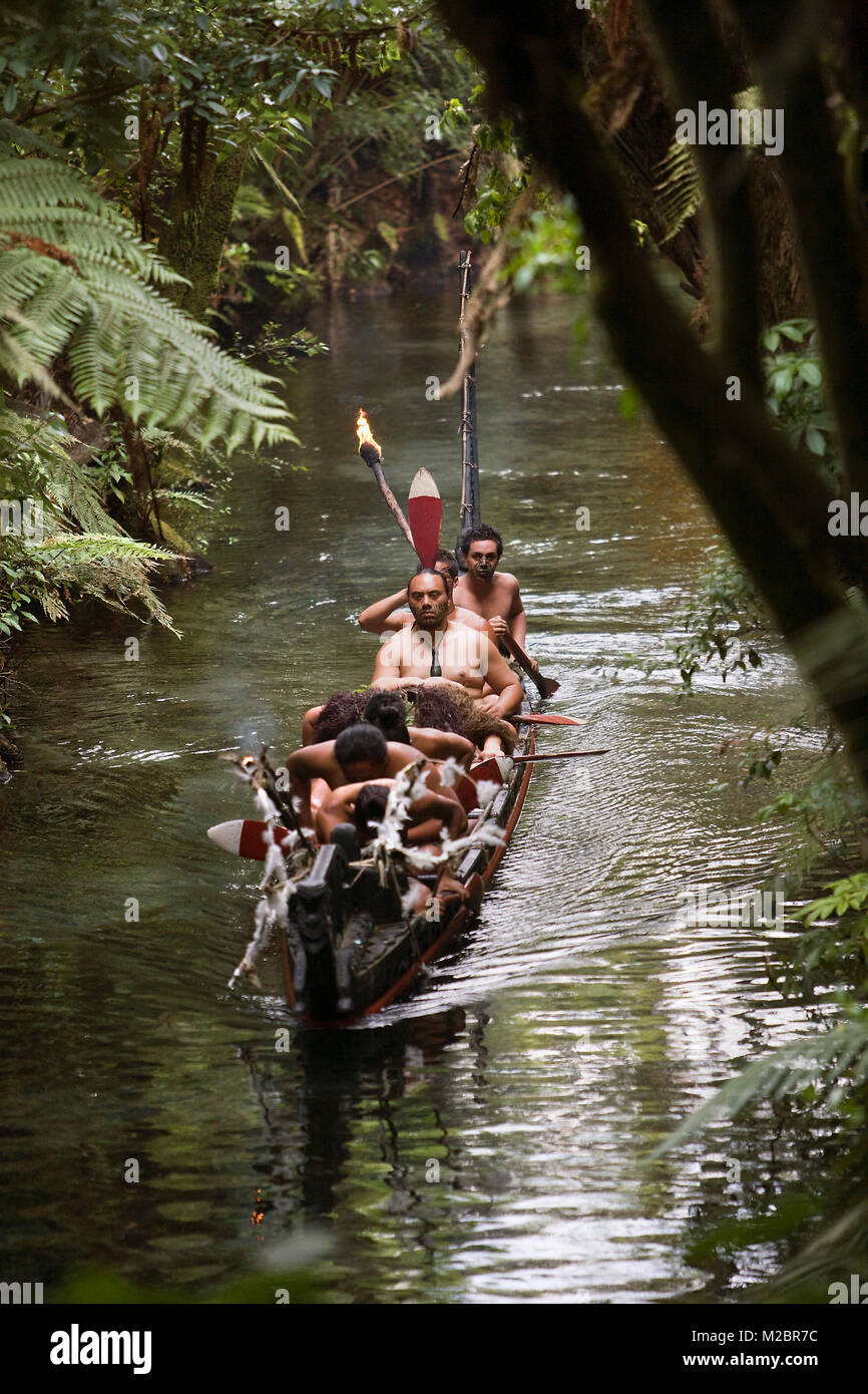 New Zealand, North Island, Rotorua, Show of Maori culture at the Mitai ...