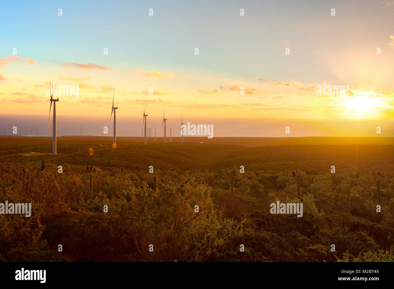 Windmills at wind farm, Coquimbo Region, Chile Stock Photo - Alamy
