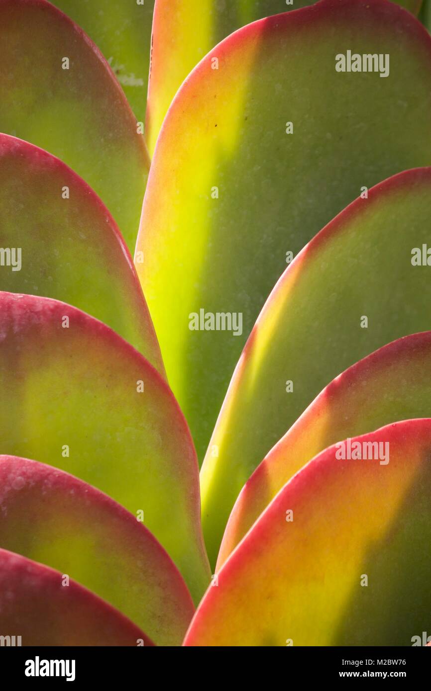 Photons reflecting sunshine hi-res stock photography and images - Alamy