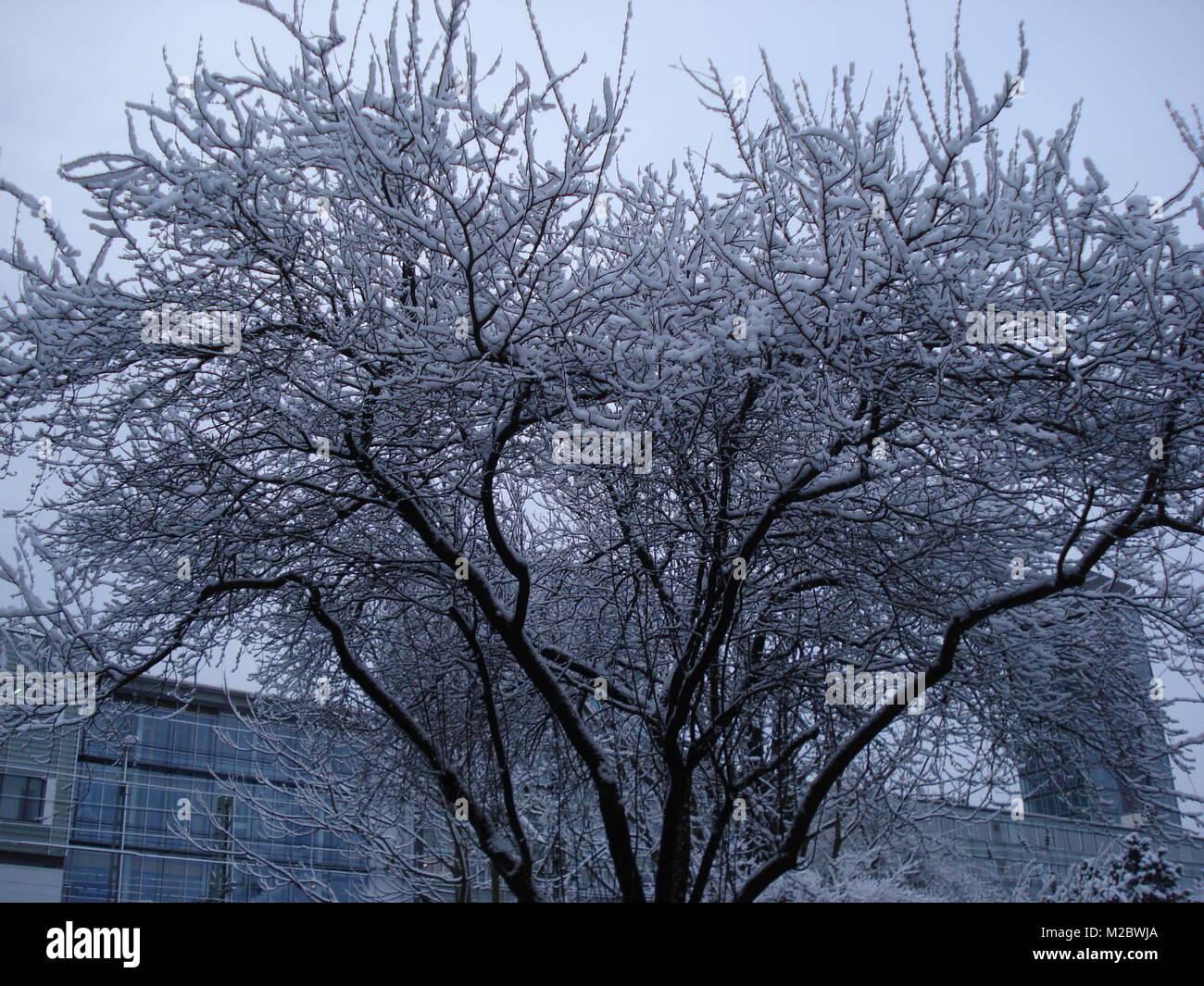 Schnee in freiburg hi-res stock photography and images - Alamy