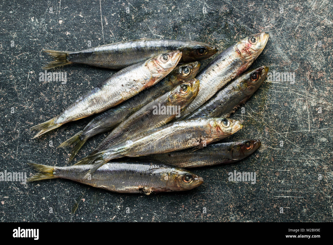Raw sardines fish on kitchen table. Top view Stock Photo - Alamy