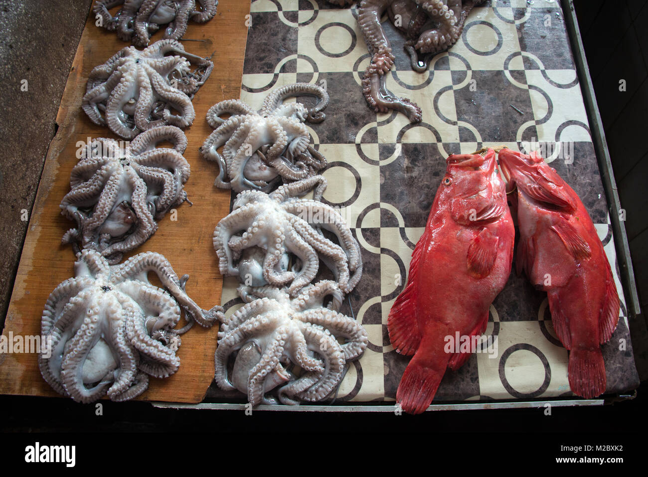 Octopus price hi-res stock photography and images - Alamy
