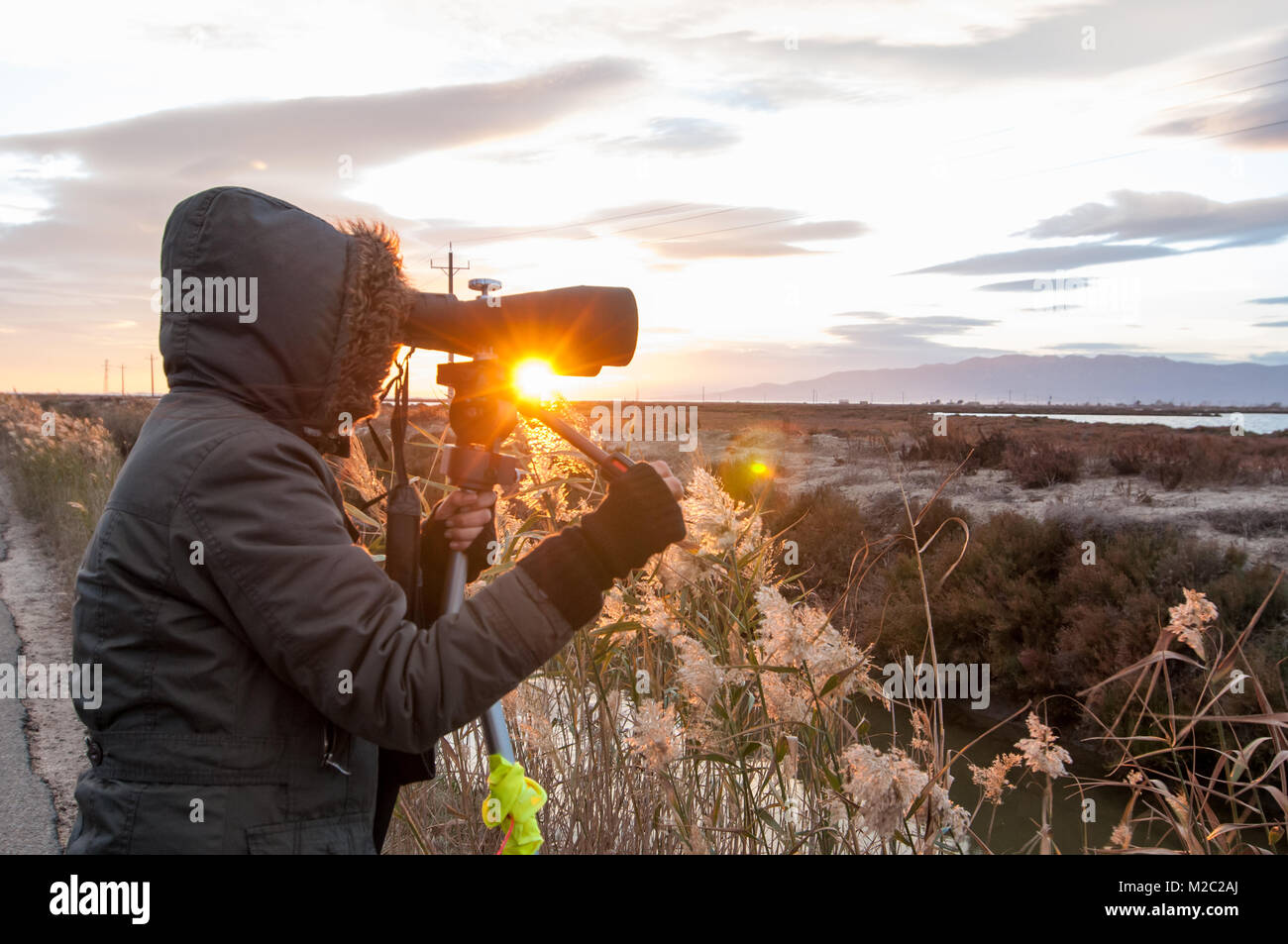 Woman birdwatching hi-res stock photography and images - Alamy