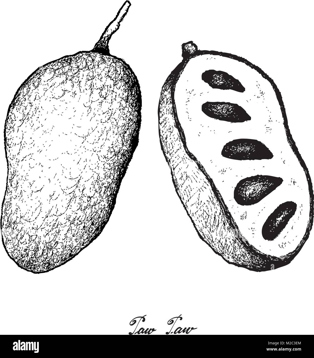 Atis fruit hi-res stock photography and images - Alamy