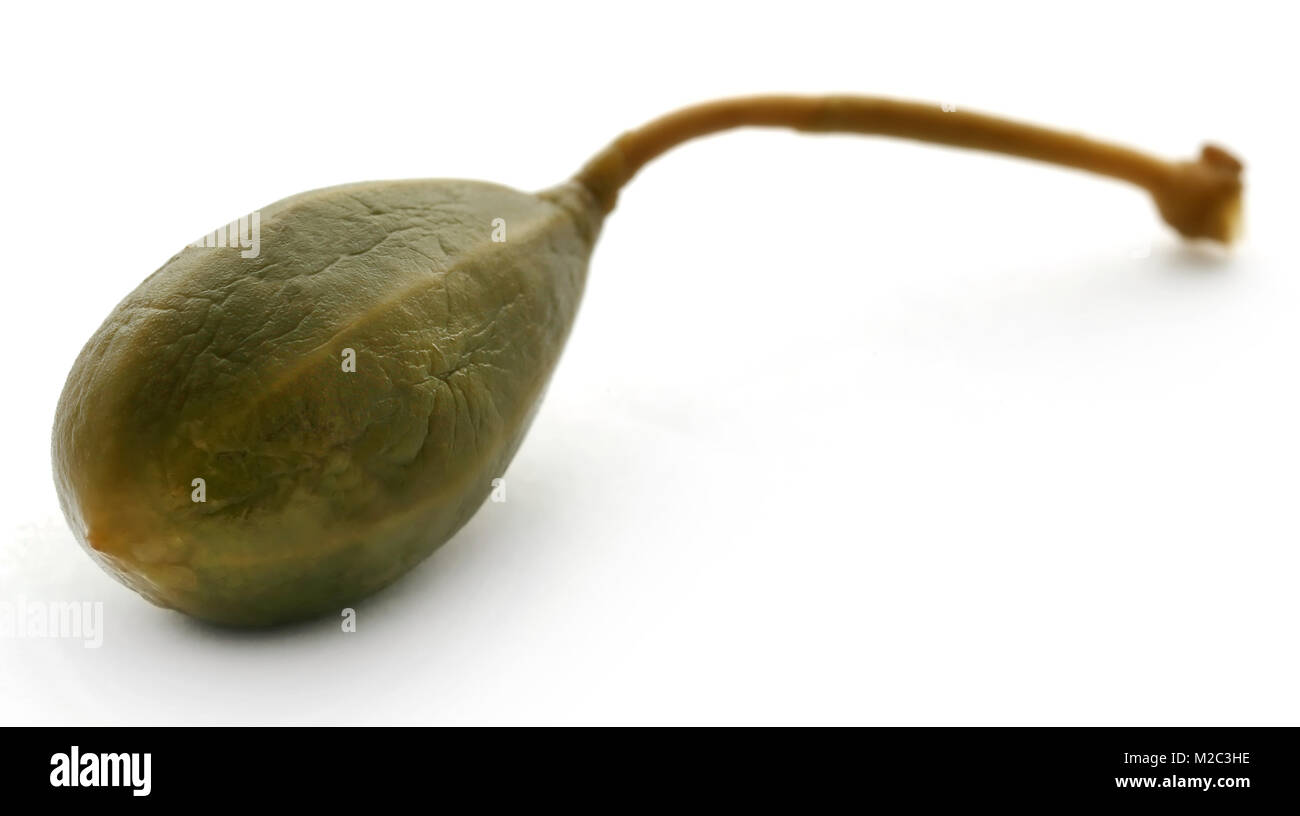 Caper berry isolated over white background Stock Photo - Alamy