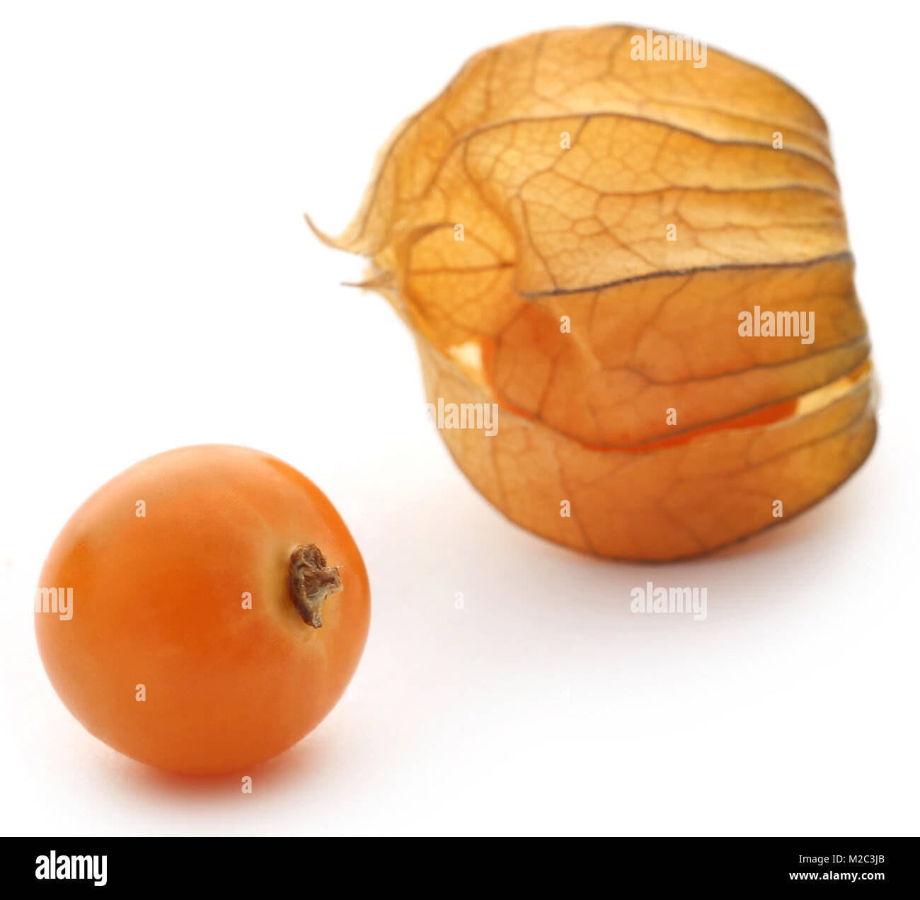 Fresh edible physalis over white background Stock Photo - Alamy