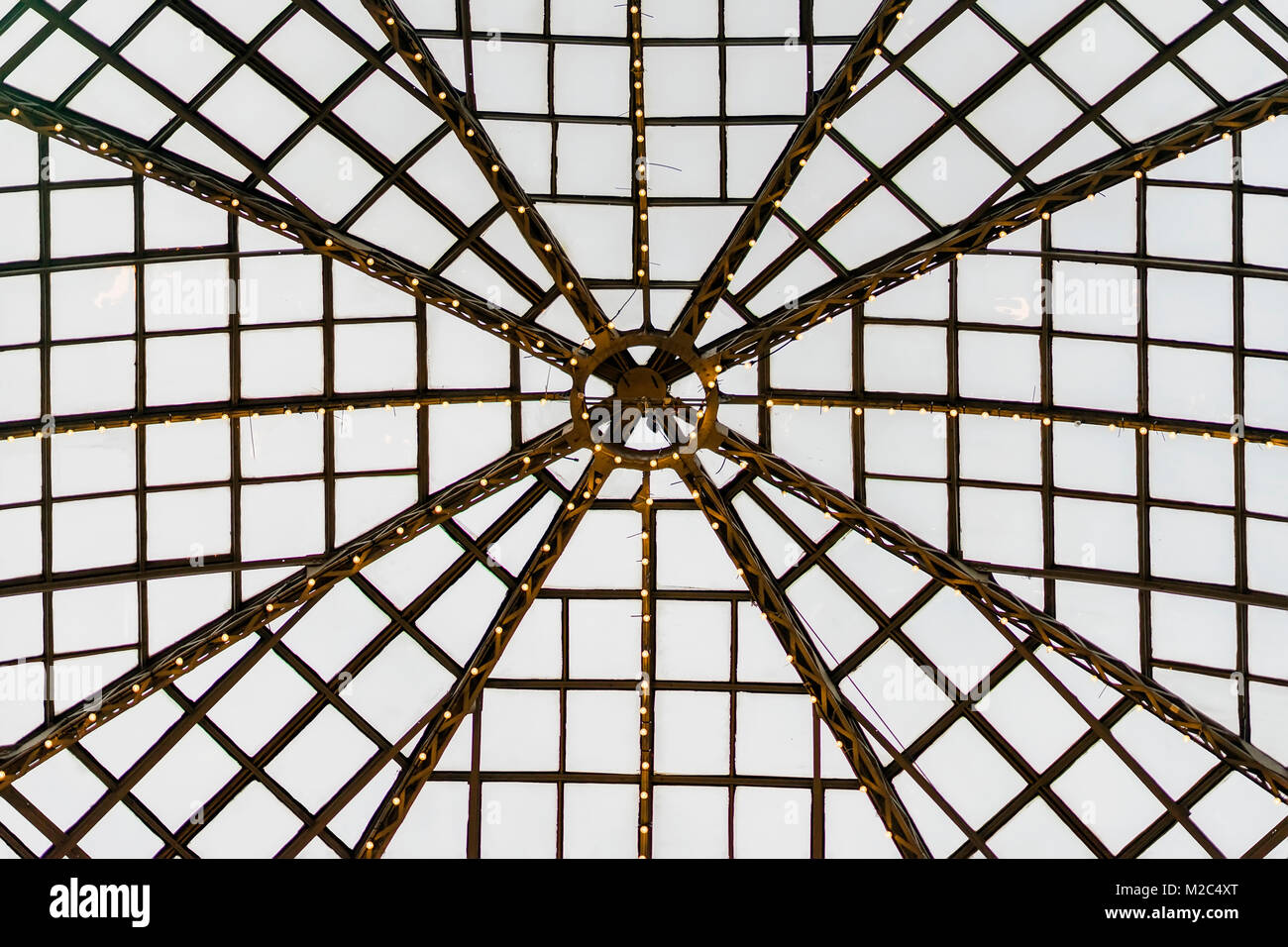 Glass dome with metal frame, armature. Graphic texture for modern ...